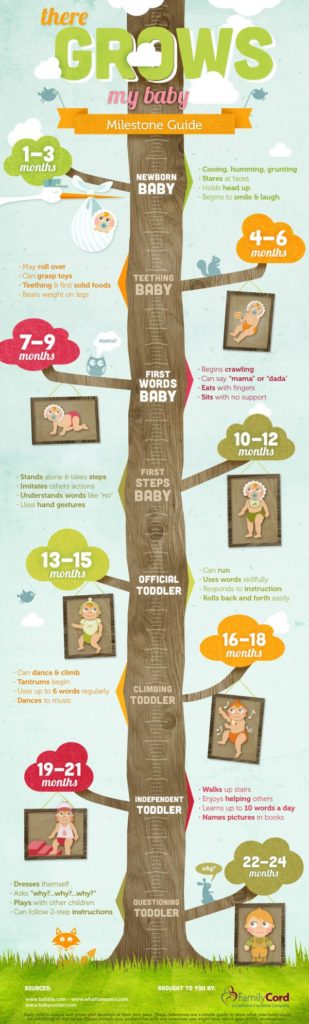 Stages Of Baby Development - Captured In Infographics | Kids Making Change